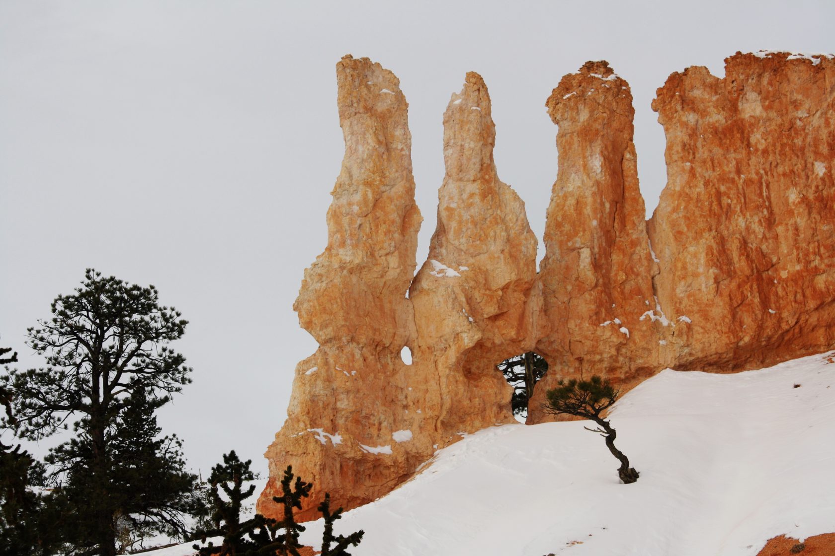 Bryce Canyon in Winter - Kristel Hayes