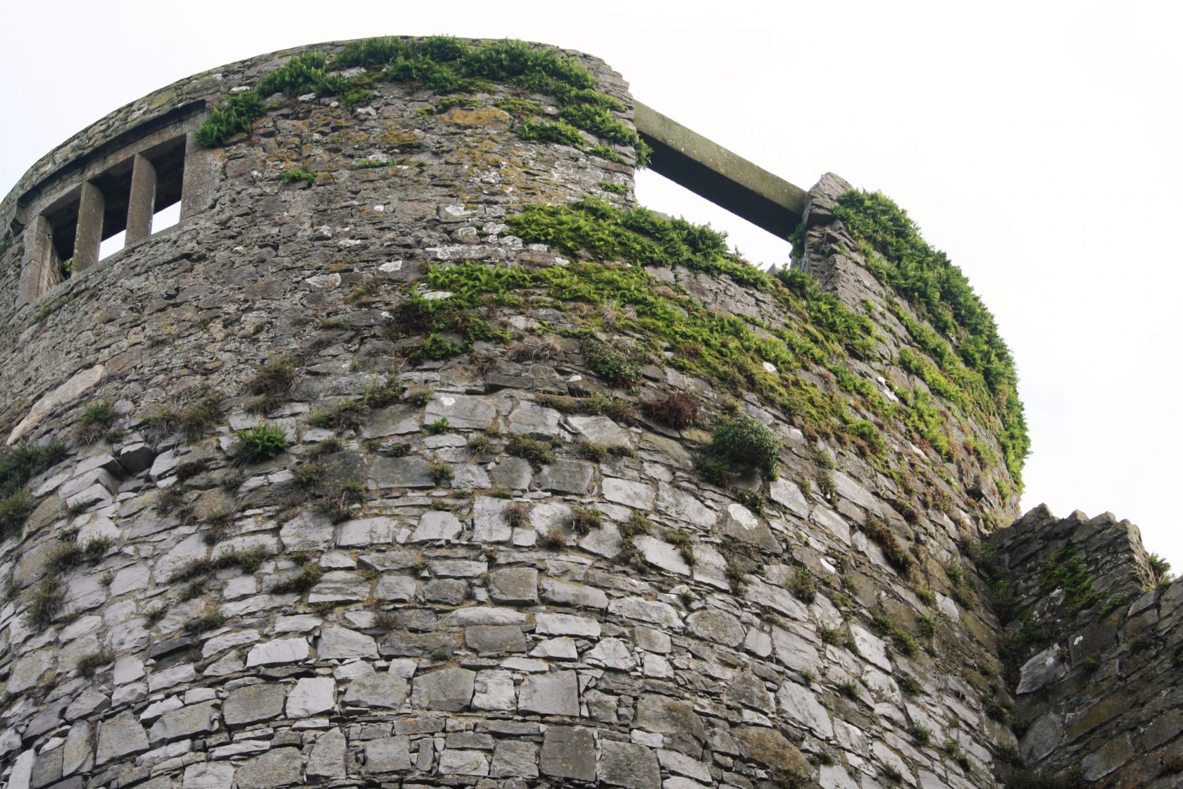 Exploring Ireland's River Barrow on a Narrowboat - Kristel Hayes