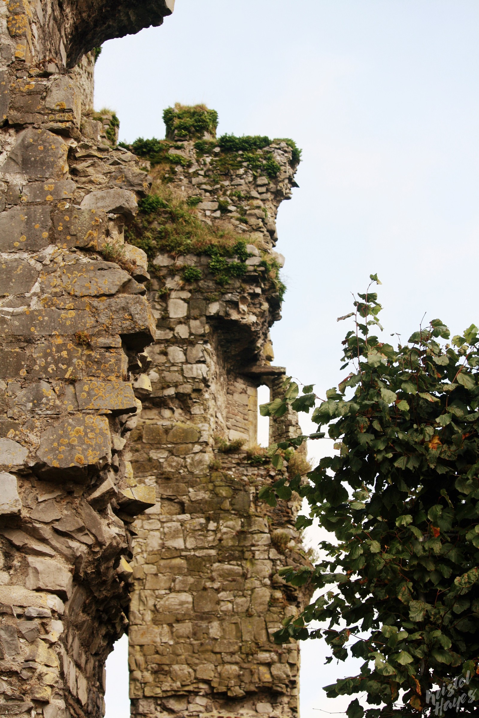 Exploring Ireland's River Barrow on a Narrowboat - Kristel Hayes