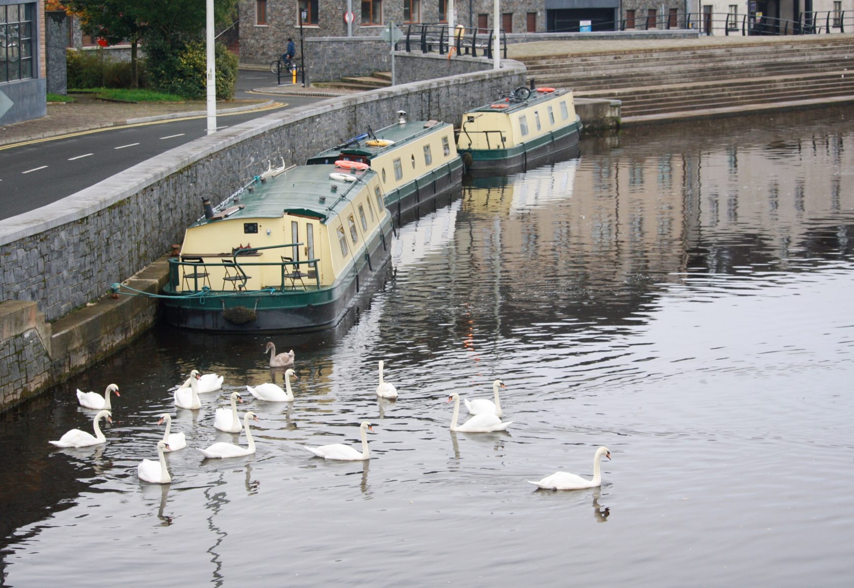 Exploring Ireland's River Barrow on a Narrowboat - Kristel Hayes